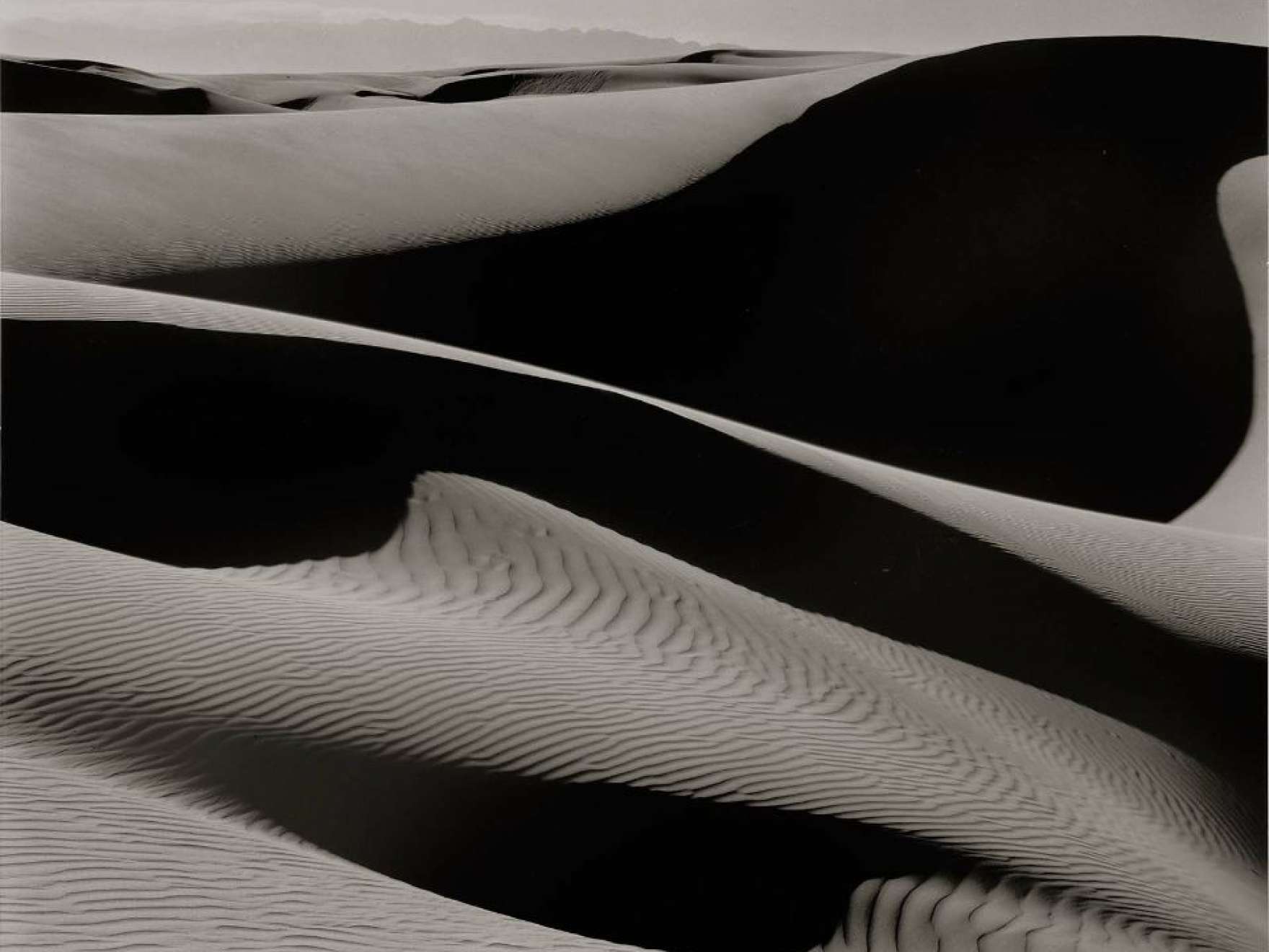 Edward Weston | Museum of Fine Arts, Boston