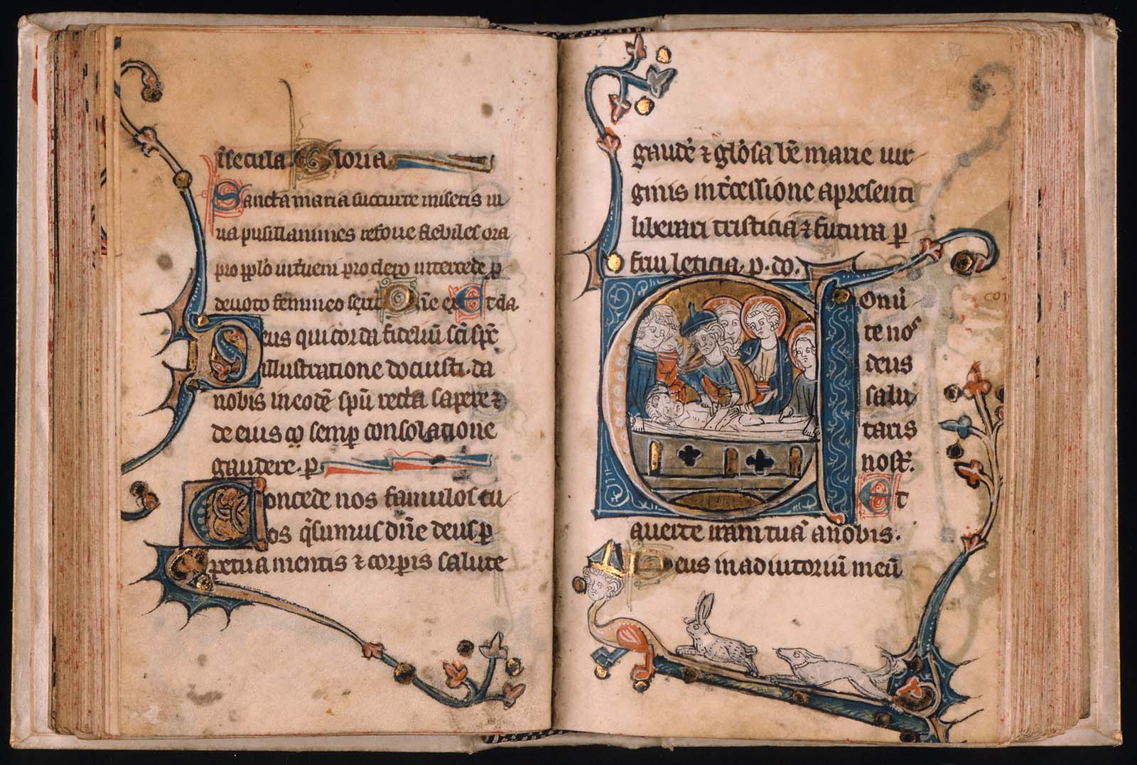 European Manuscripts | Museum of Fine Arts, Boston