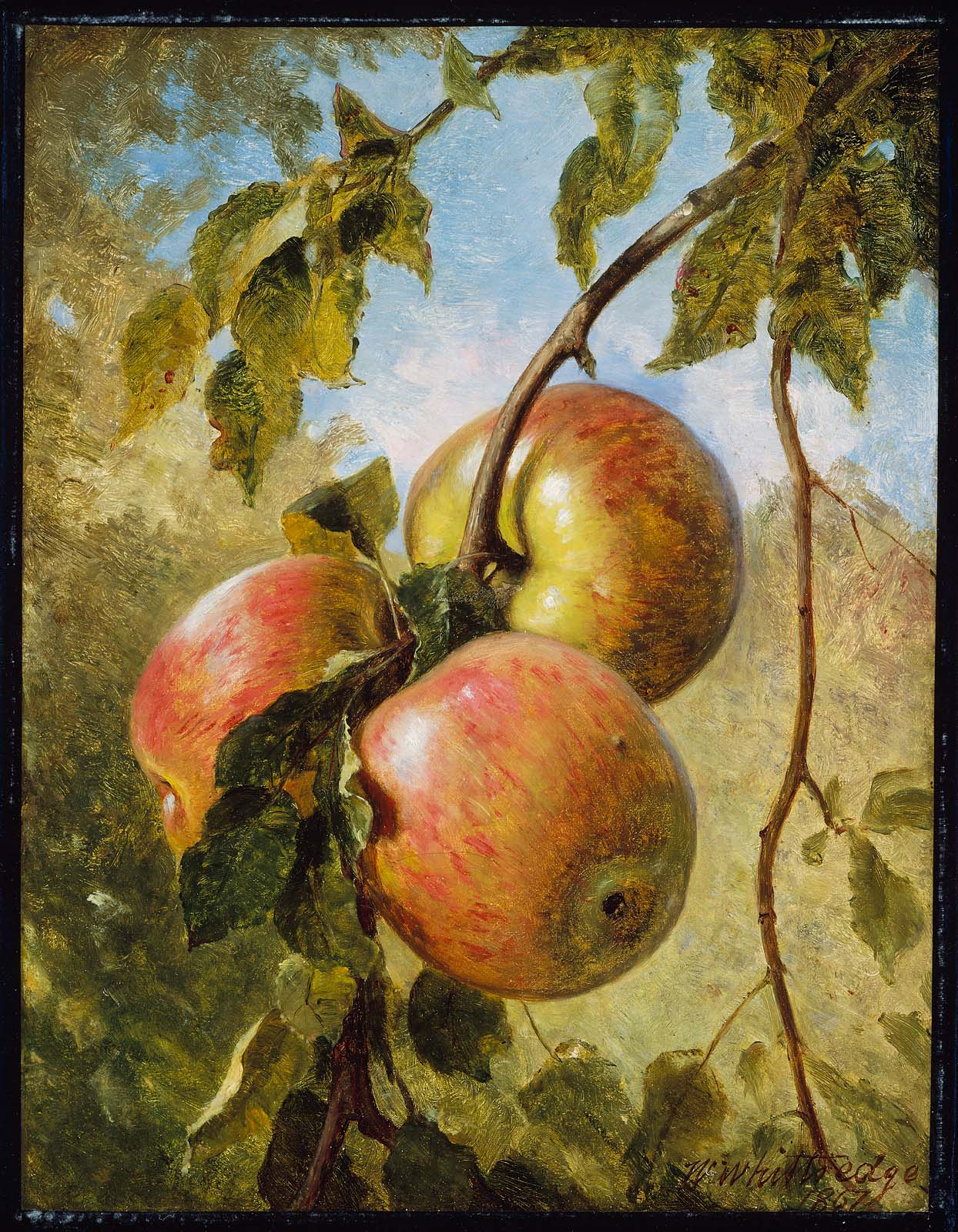 Apples | Museum of Fine Arts, Boston