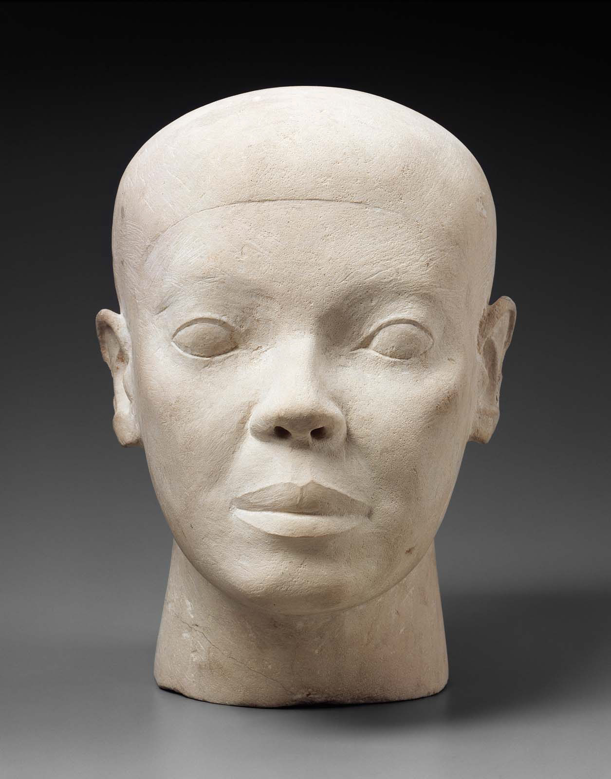 "Reserve head" | Museum of Fine Arts, Boston