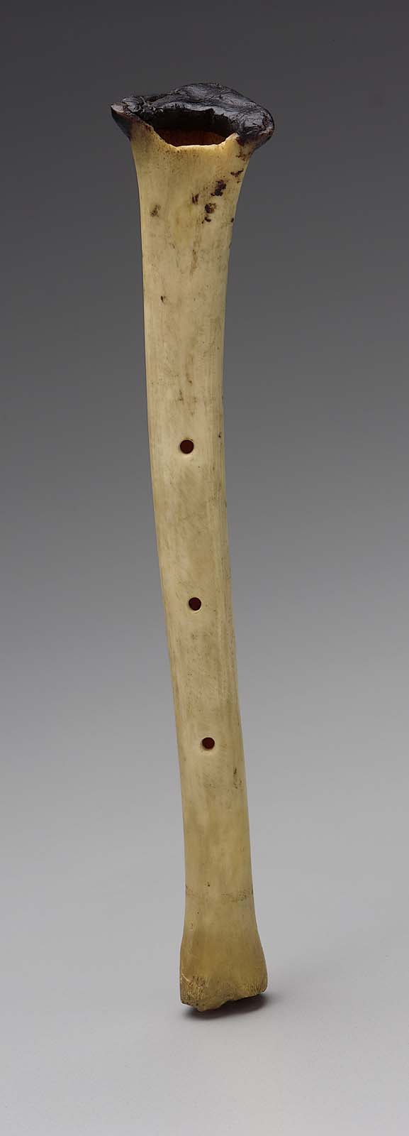 Native Central and South American Instruments | Museum of Fine Arts, Boston