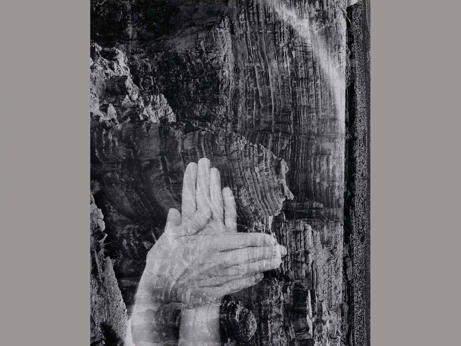 Imogen Cunningham: Life and Work | Museum of Fine Arts, Boston