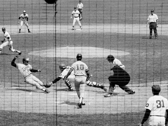 Grandstand to Gallery | Museum of Fine Arts, Boston
