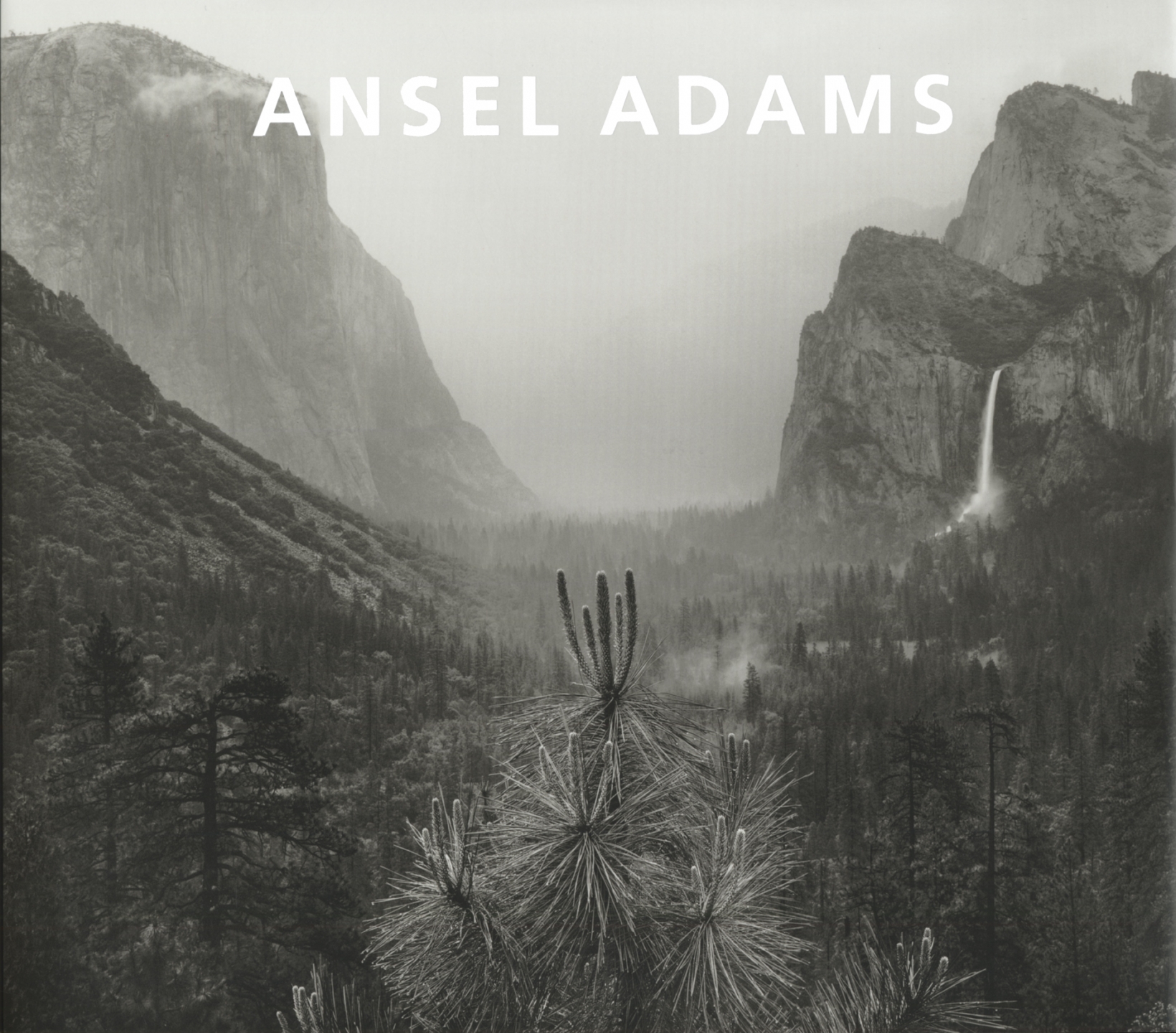 Ansel Adams | Museum of Fine Arts, Boston